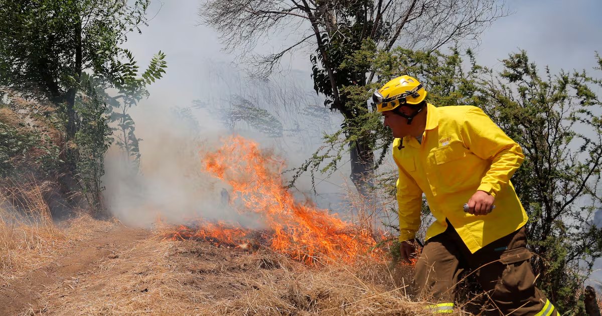 Ola de calor extrema enciende alarmas por incendios forestales ...