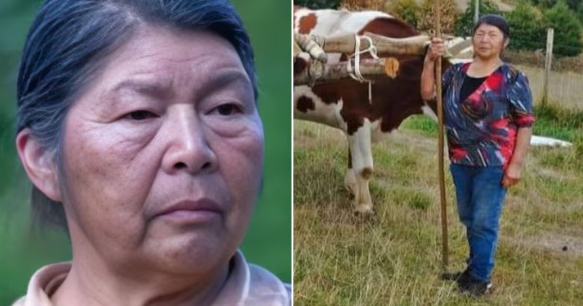 Investigación sobre Desaparición de Julia Chuñil: Avances Clave